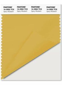 Spicy Mustard Pantone | The Curvy Fashionista