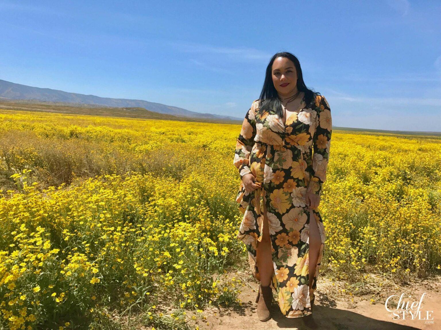 Fashion Blogger Spotlight: Amy of The Chief of Style