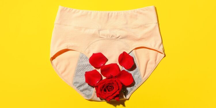 Best Plus Size Period Panties