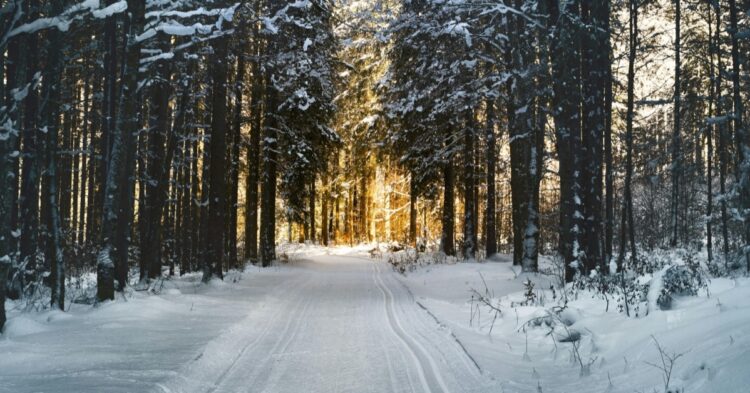 7 Tips for Success as a Plus Size College Student